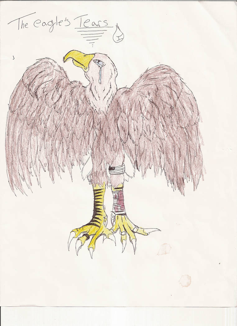 the eagles tears by AndiCandiCat13 on DeviantArt