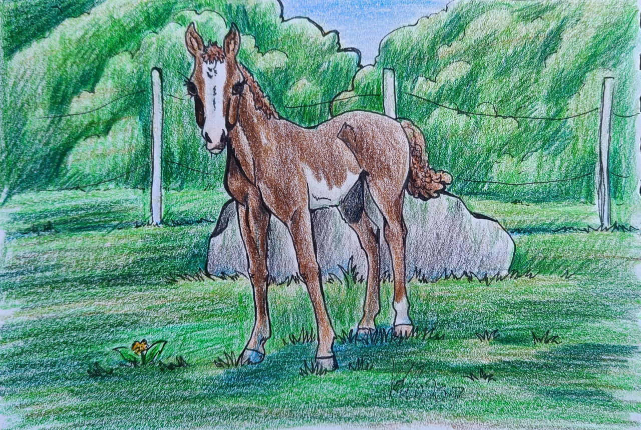Kettu Tarhassa By Kuurasydan On Deviantart