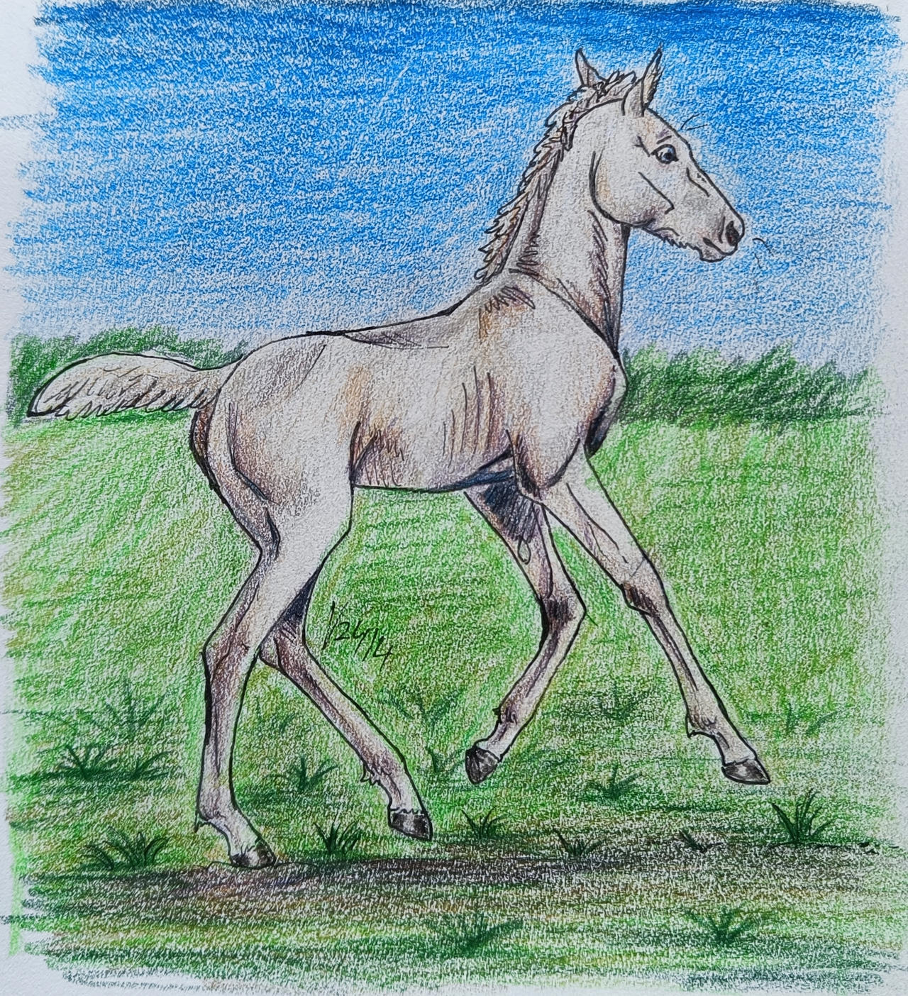 Vito X Sevilla Varsa By Kuurasydan On Deviantart