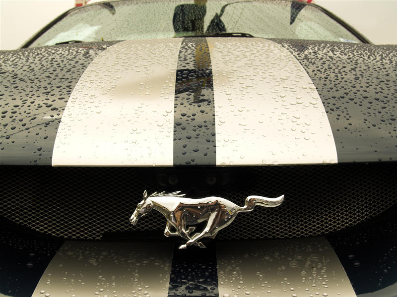 Mustang Sally by vultureboy on DeviantArt