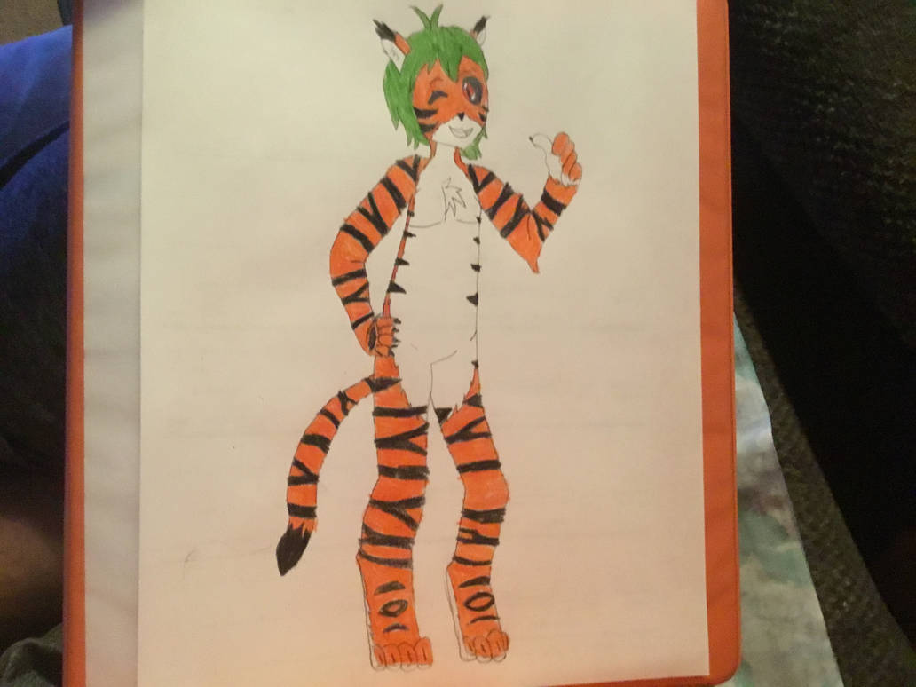 Tora By Leafykozasshu On Deviantart