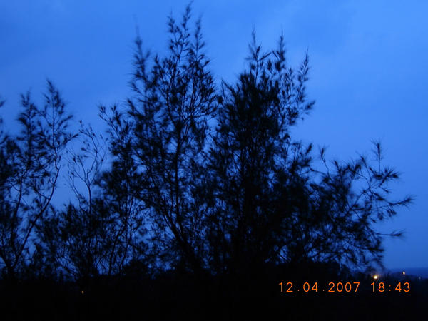 glorious evening... by Rahzz85 on DeviantArt