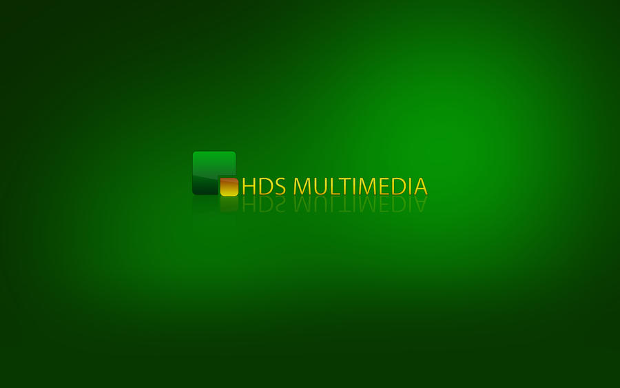 HDS Multimedia Company Logo By HalvaPL On DeviantArt hds-multimedia-company-logo-by-halvapl-on-deviantart