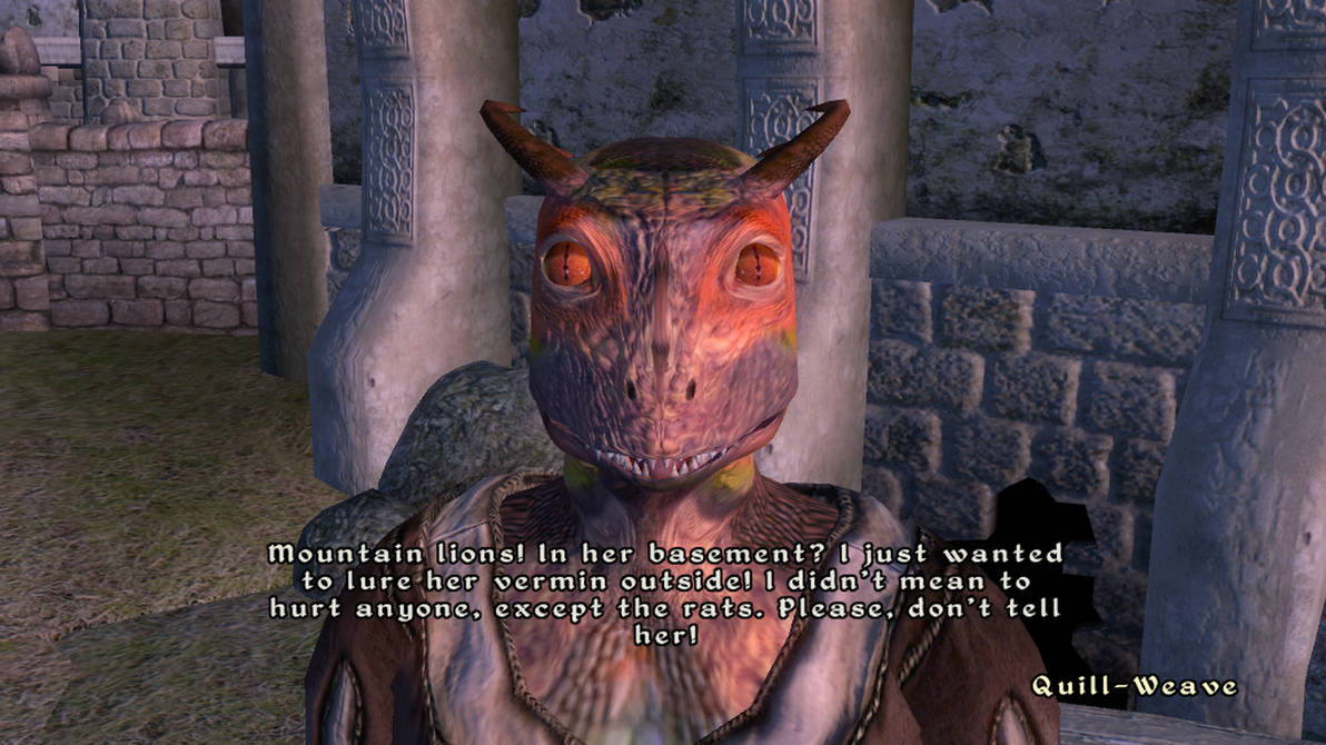 Oblivion Quill Weave The Argonian By Spartan22294 On Deviantart