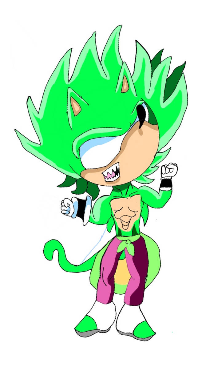 Broly As A Sonic Character By Turtlex34 On Deviantart
