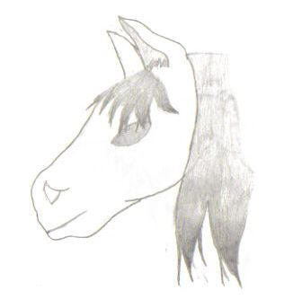 shadow up close by urafreakinloser on DeviantArt