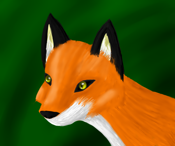 Realistic Fox fail by TwilightTheEevee on DeviantArt Realistic Fox fail by TwilightTheEevee on DeviantArt
