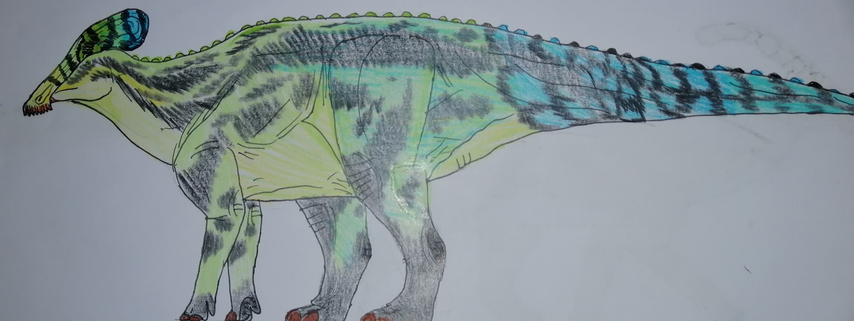Tlatolophus galorum by JurassicFan2022 on DeviantArt Tlatolophus galorum by JurassicFan2022 on DeviantArt