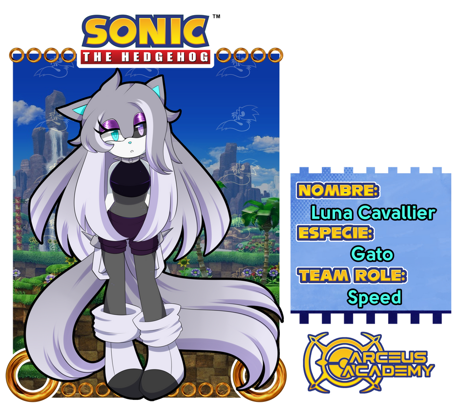 Aa3 Sonic Meme Luna By Tsubey On Deviantart