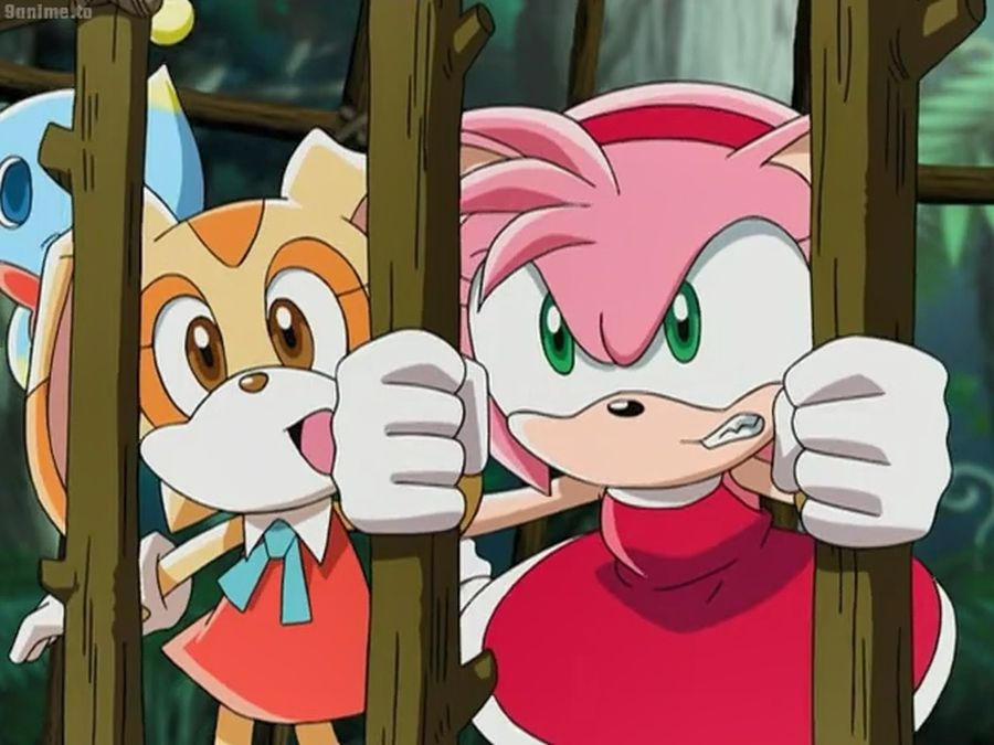 Sonic X E58 Amy Cream By Geedirosso On Deviantart
