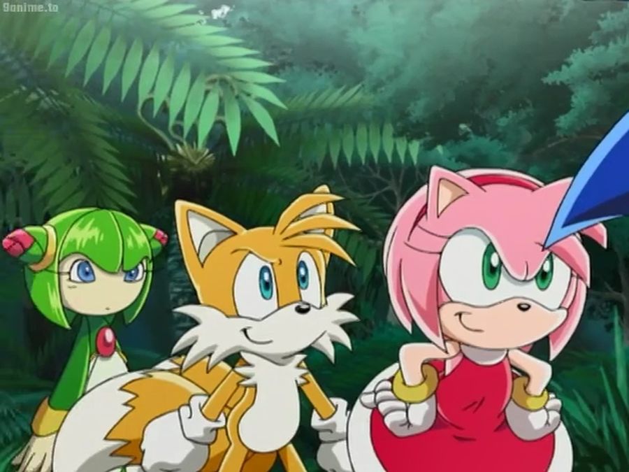 Sonic X E58 Amy Tails By Geedirosso On Deviantart
