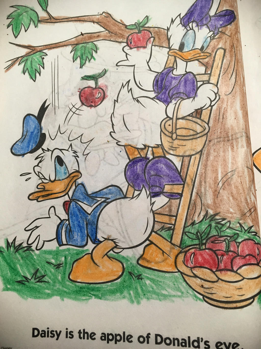 Donald And Daisy Picking Apples By Simpsonsfanatic33 On Deviantart