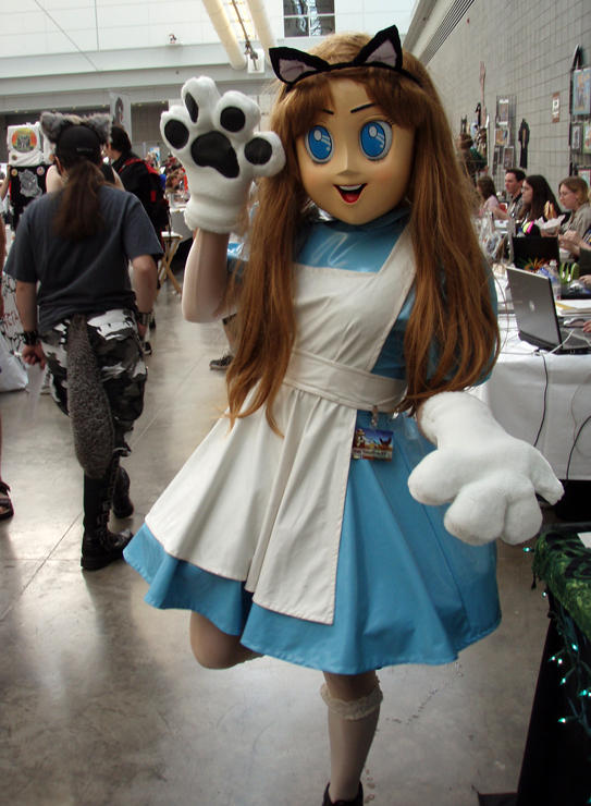 AnthroCon Pics 3 by happydragonferret on DeviantArt