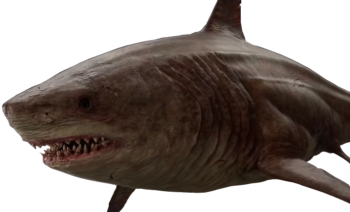 The Meg Png 2 By Pedroaugusto14 On Deviantart
