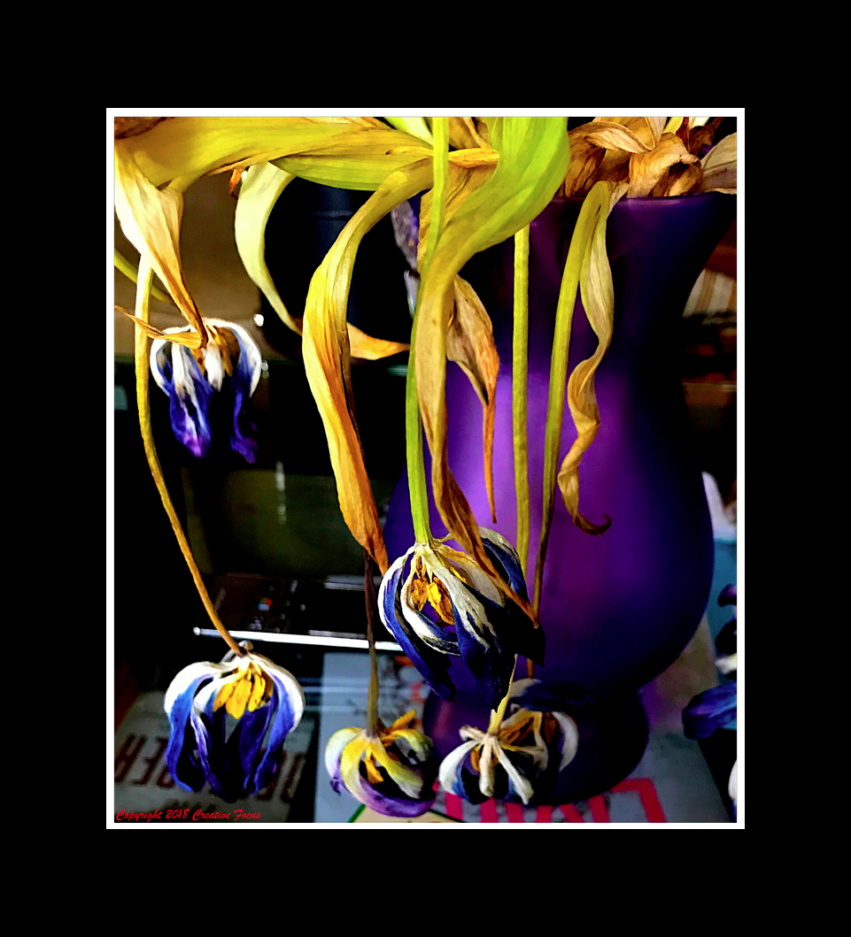 Only For A Time By Trippy4U On DeviantArt only-for-a-time-by-trippy4u-on-deviantart