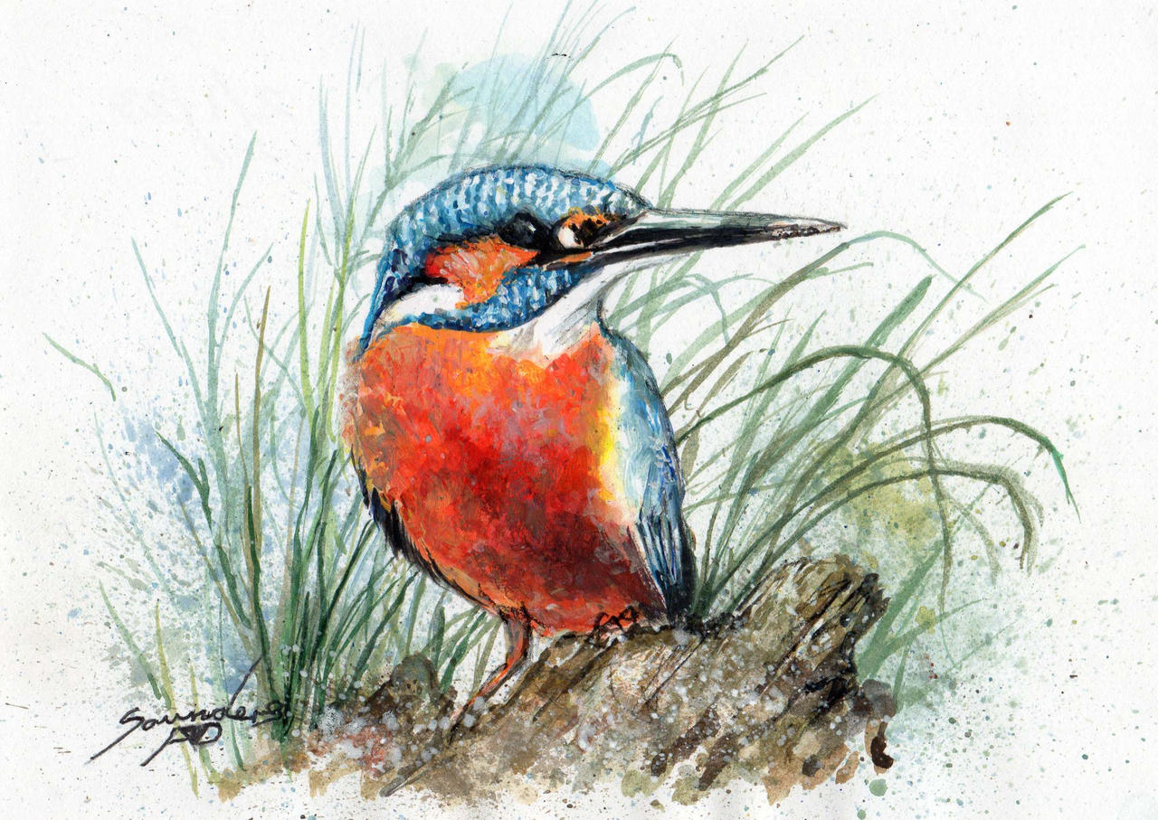 Kingfisher - Watercolour Sketch by Trinitythree123 on DeviantArt Kingfisher - Watercolour Sketch by Trinitythree123 on DeviantArt