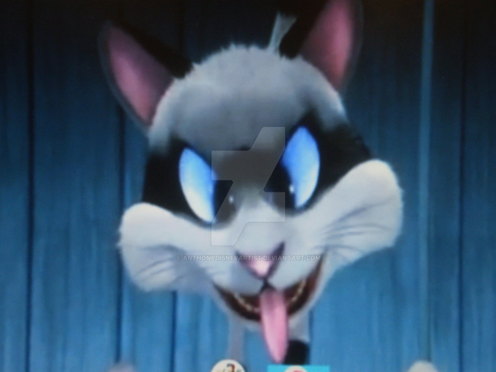 Twisted Whiskers Show Dash By Anthonydisneyartist On Deviantart