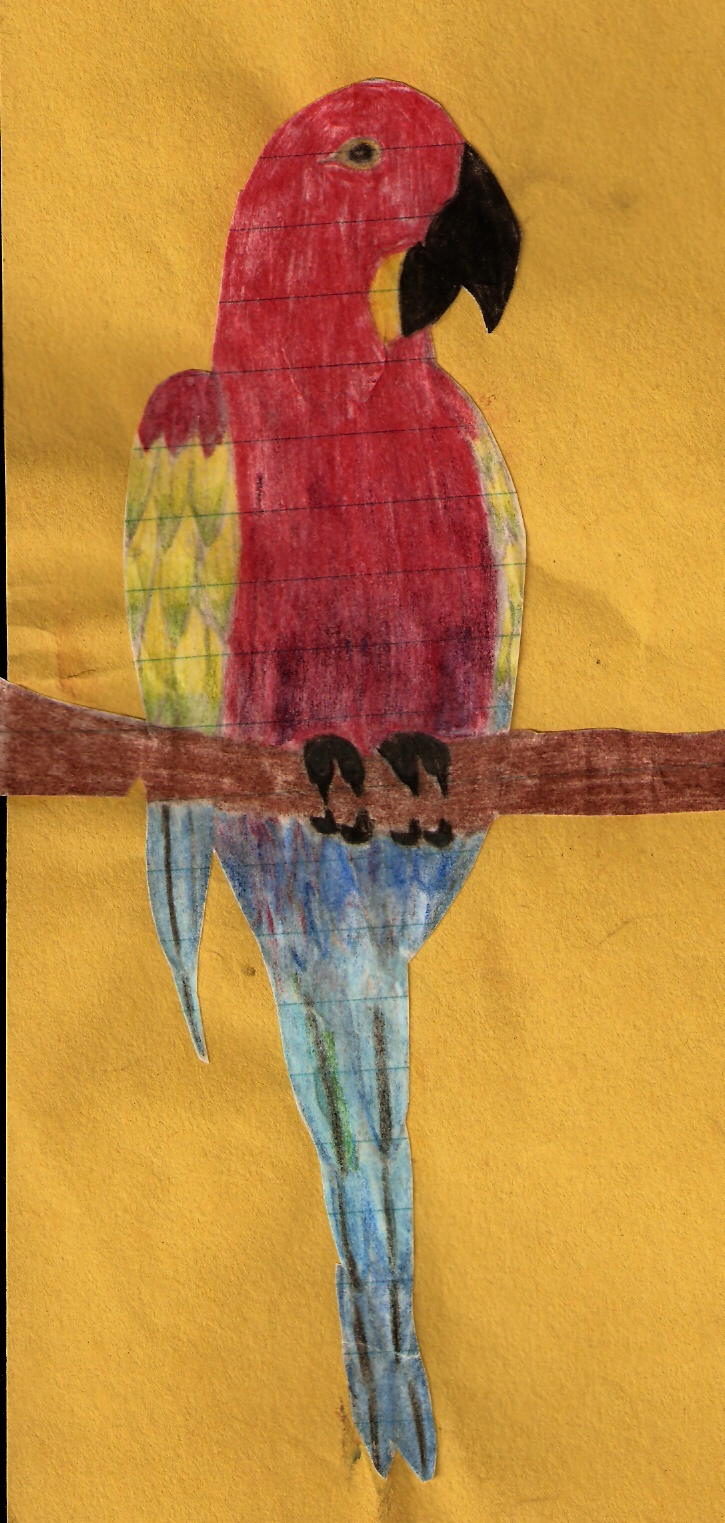 parrot by yekaterinaart on DeviantArt