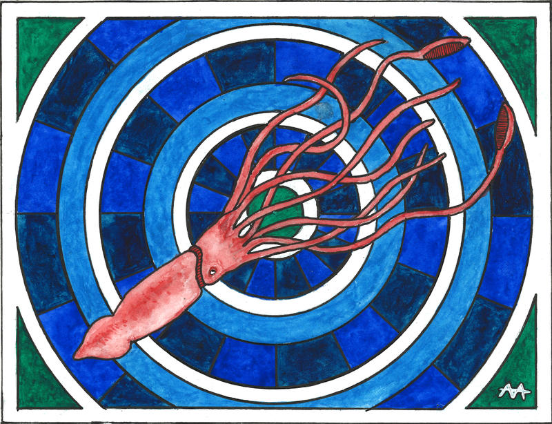 Squid by wtf-etc on DeviantArt