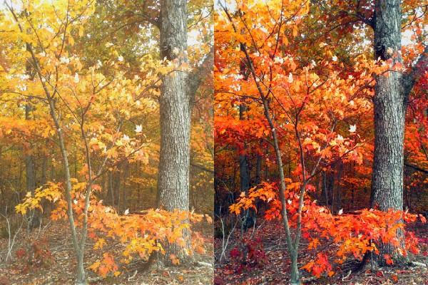 before and after nature three by GOLDEN-ARM on DeviantArt