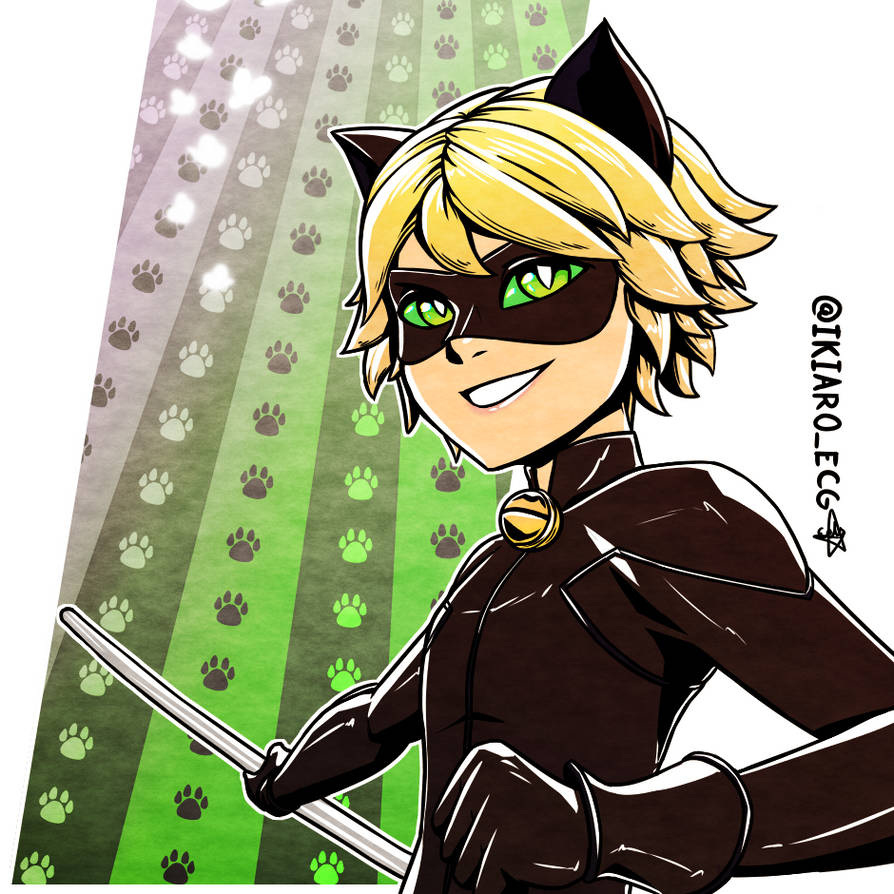 Miraculous Cat Noir By 4ozora On Deviantart