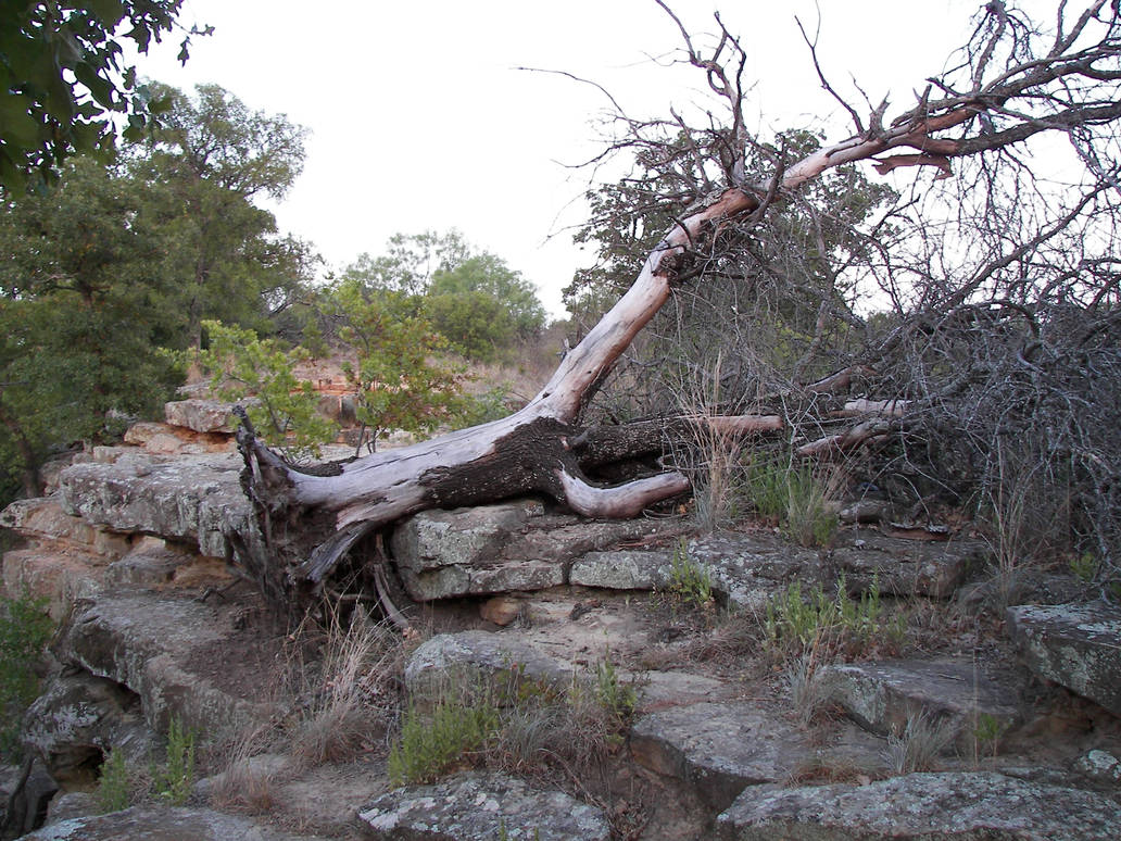 Fallen giant by SBV on DeviantArt