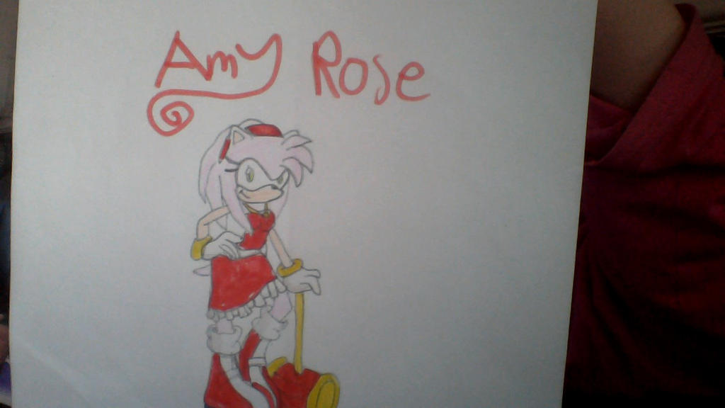 Amy Rose And Her Hammer C By Tara1123 On Deviantart