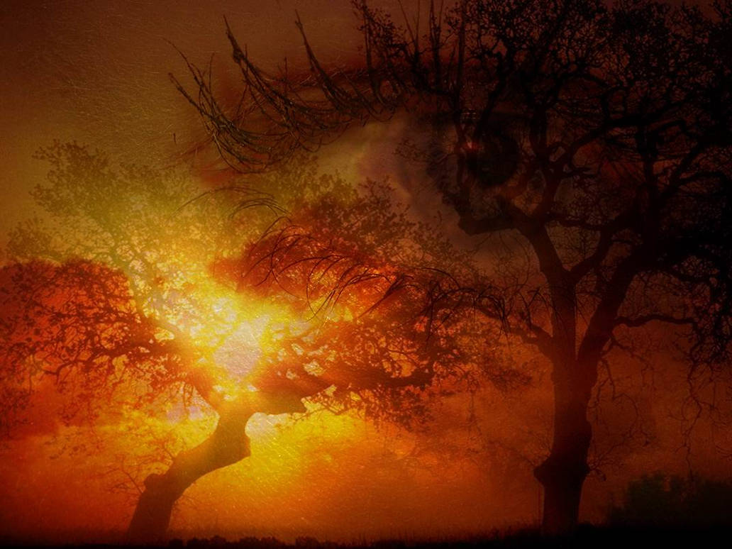 The Hidden Eye 61 By Scorpio1 On DeviantArt the-hidden-eye-61-by-scorpio1-on-deviantart