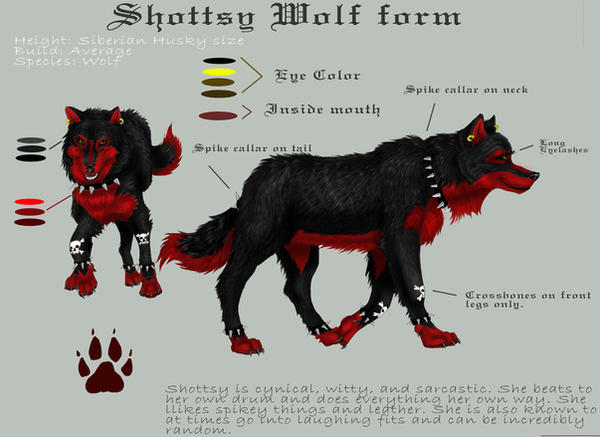 Shottsy- wolf character sheet by ShottsyArts on DeviantArt