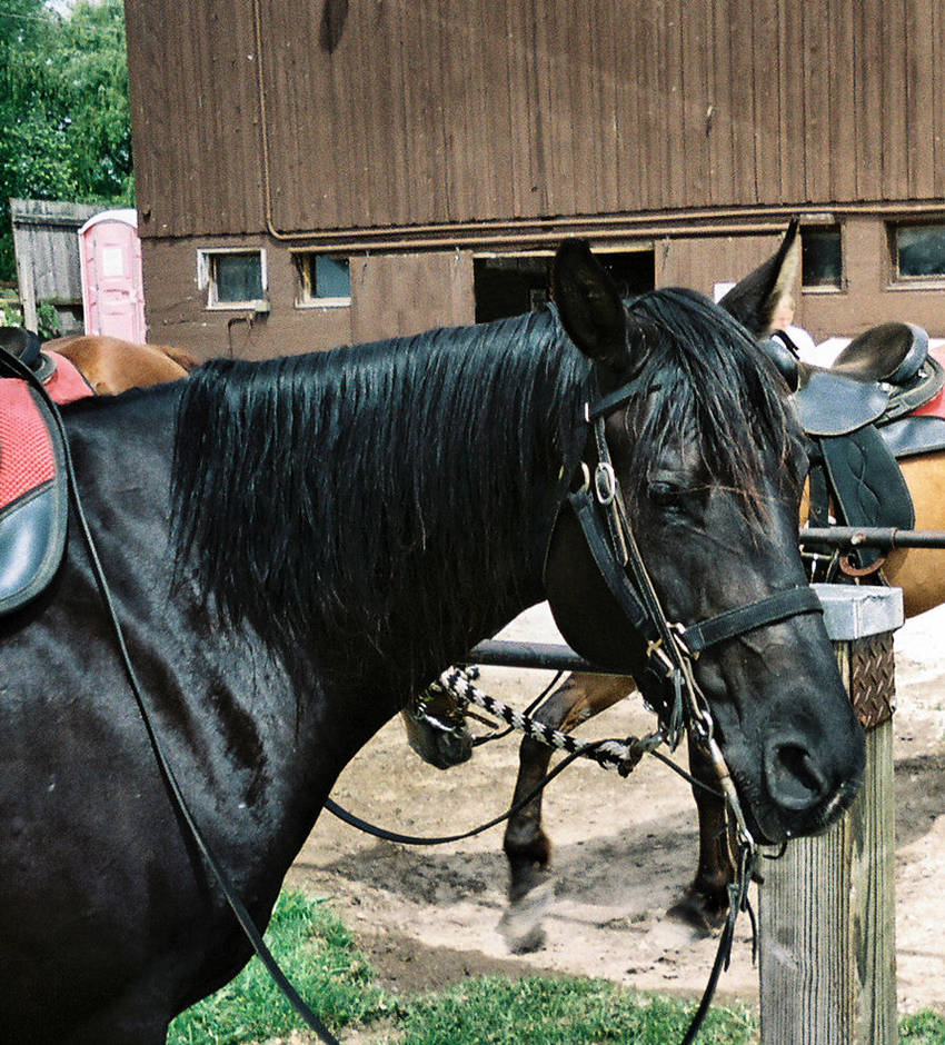 zoe 2 by Moosepickles on DeviantArt