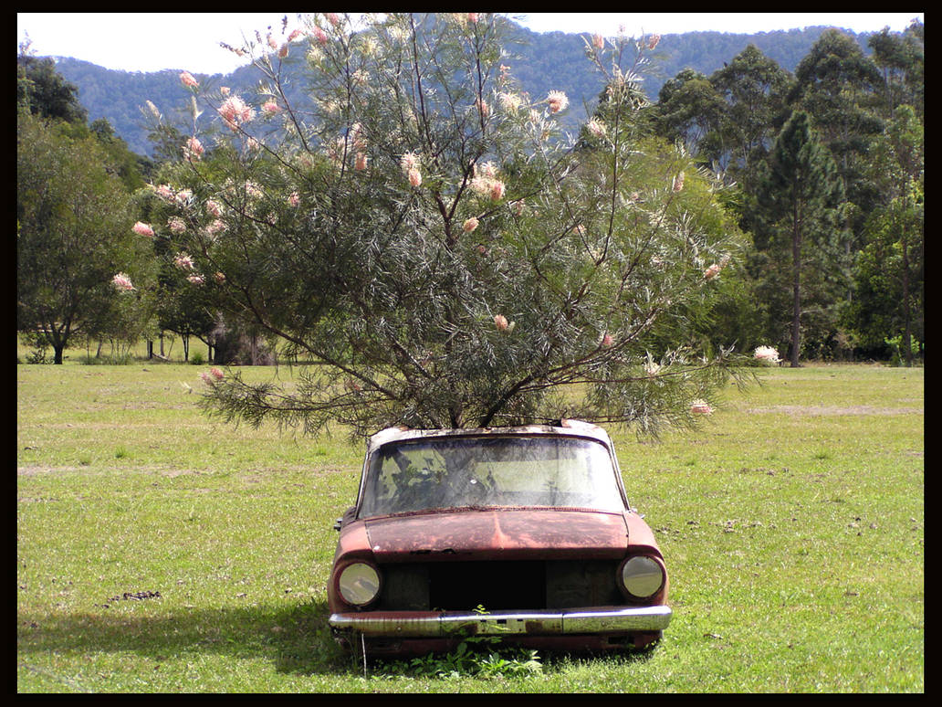 Cartree by stevedave04 on DeviantArt