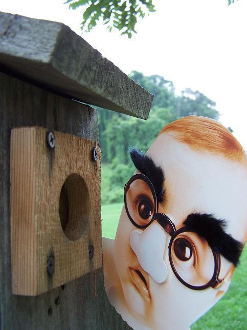 Baby Otis Finds A Bird by SiddyGirl on DeviantArt