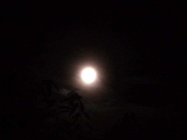Freezing moon. by oblakanykotek on DeviantArt