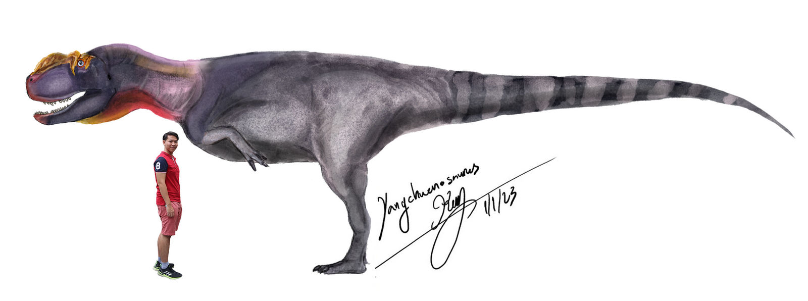 Yangchuanosaurus shangyouensis sketch by Kendiplo on DeviantArt Yangchuanosaurus shangyouensis sketch by Kendiplo on DeviantArt