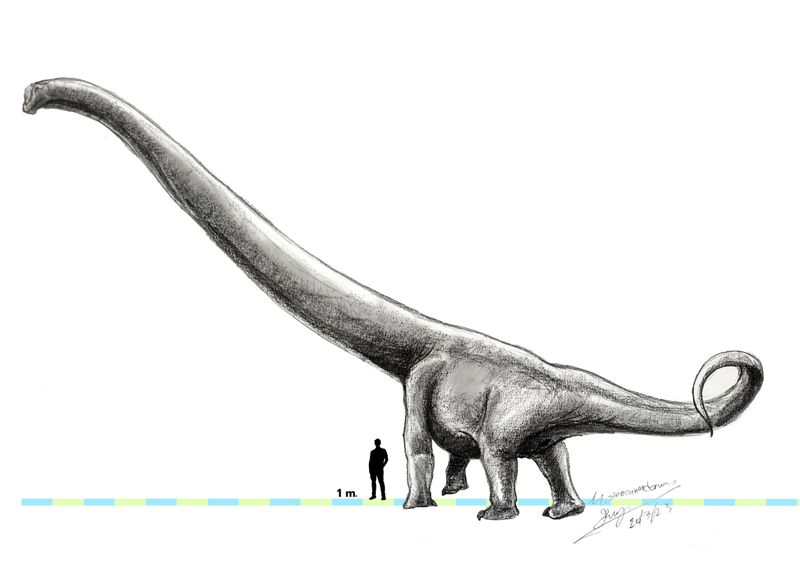 Mamenchisaurus sinocanadorum Sketch by Kendiplo on DeviantArt Mamenchisaurus sinocanadorum Sketch by Kendiplo on DeviantArt