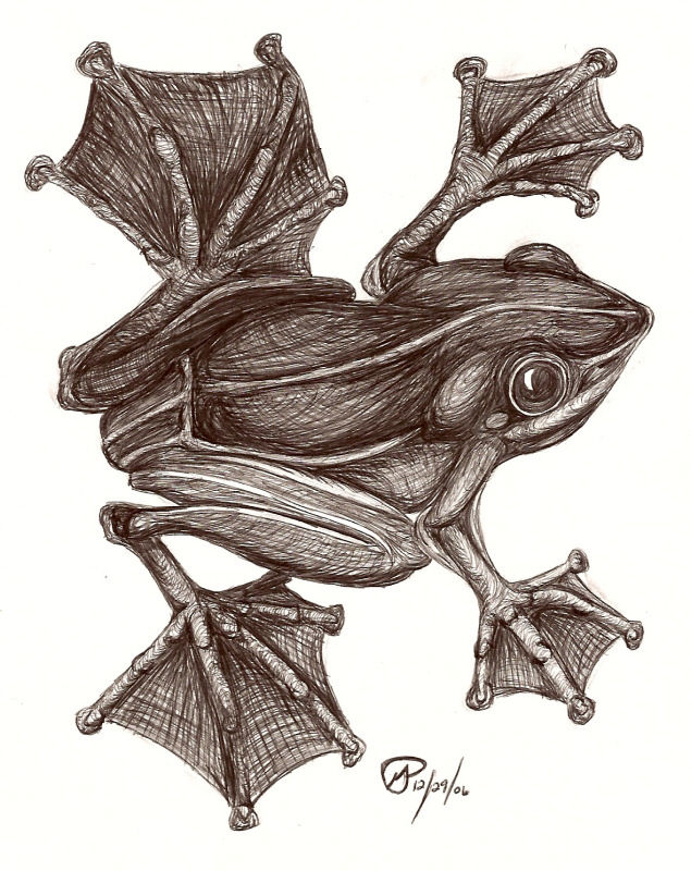 froggums with feet by GianniMiquini on DeviantArt