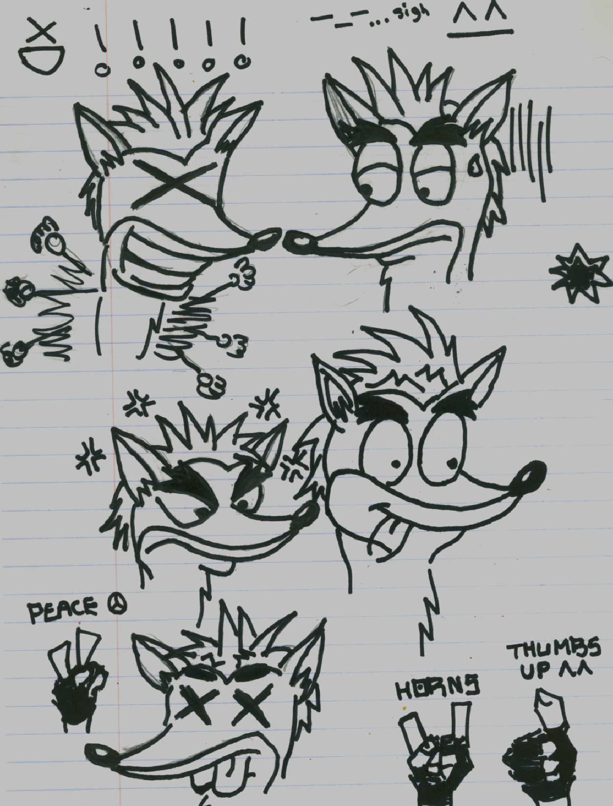 Cartoon Crash Expressions 2 by CrashyBandicoot on DeviantArt