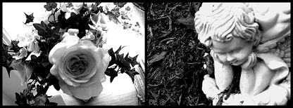 Angel and rose by brittanyrockstar on DeviantArt