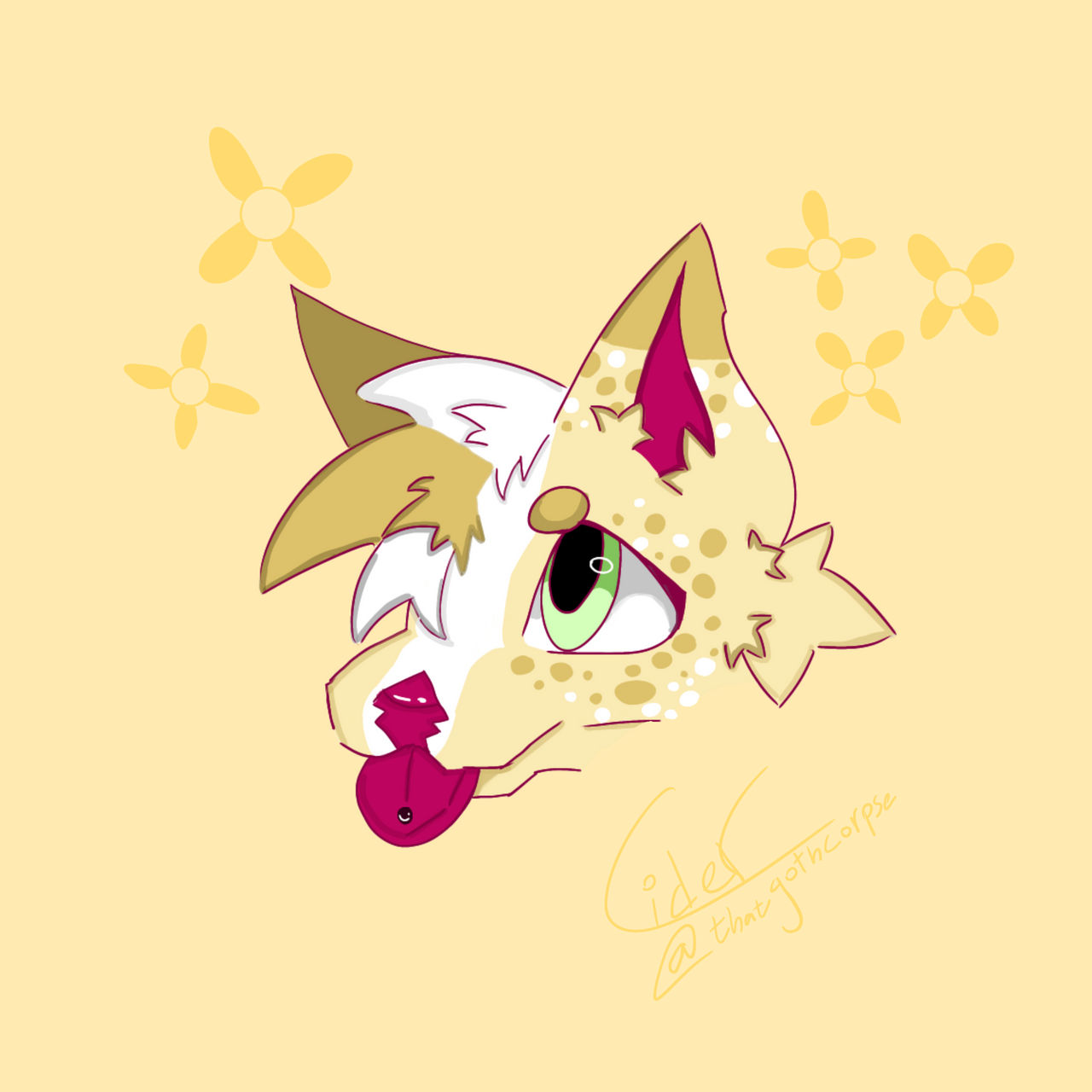 Speed Drawing Of Cider By Karo5z On Deviantart