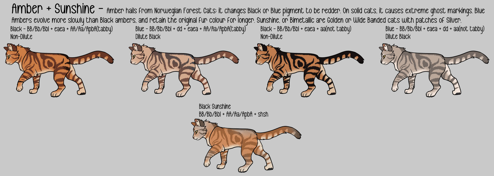 Cat Genetics Guide Amber And Sunshine By Willowwispp On Deviantart