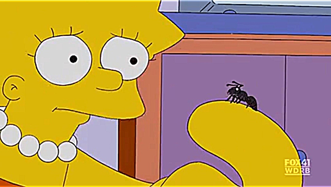 Ant On Lisas Finger By Supermariorocks On Deviantart