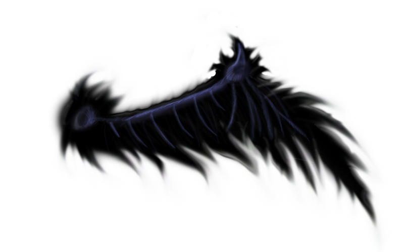 Dark Bones by Paradox001 on DeviantArt