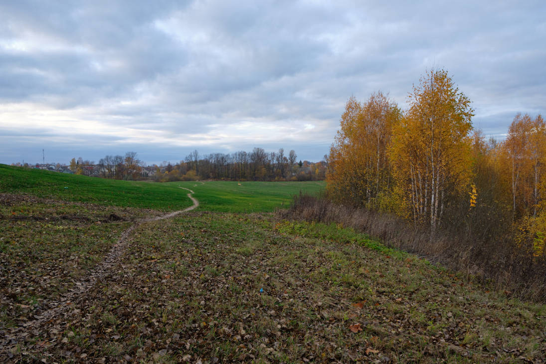 Path in the Field by Dmitry64 on DeviantArt Path in the Field by Dmitry64 on DeviantArt
