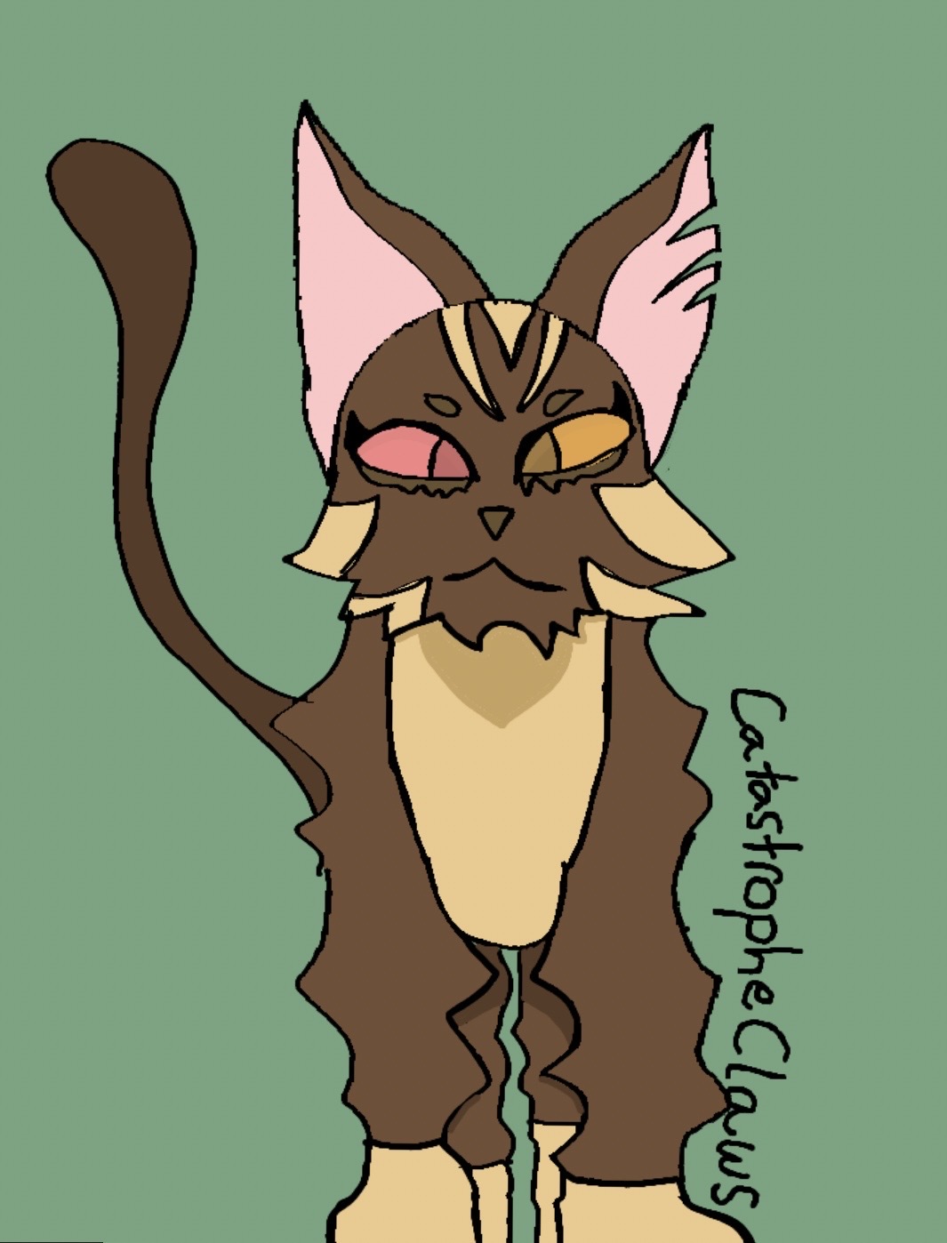 Warrior Cat Oc By Catastropheclaws On Deviantart