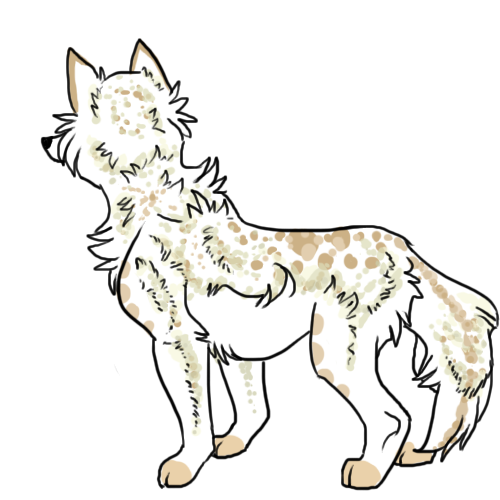 Fox Doodle By Ravi The Wise On Deviantart