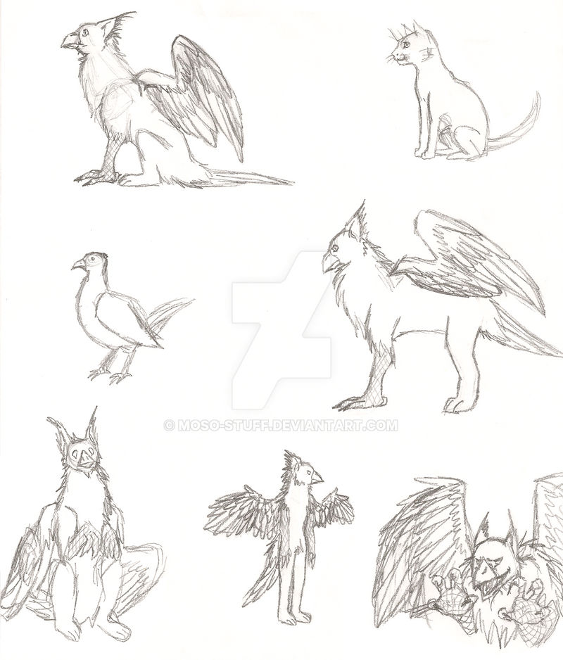 Domesticated Griffin by Moso-stuff on DeviantArt Domesticated Griffin by Moso-stuff on DeviantArt
