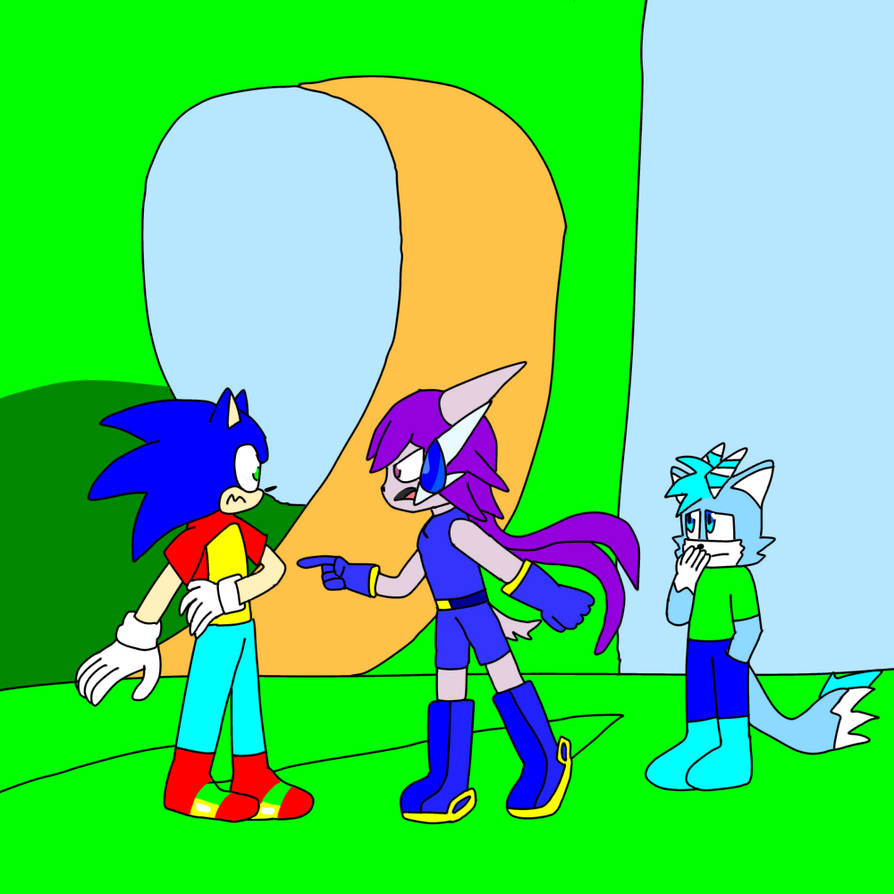 Lilac Yells At Sonic By Hevvesaphire On Deviantart