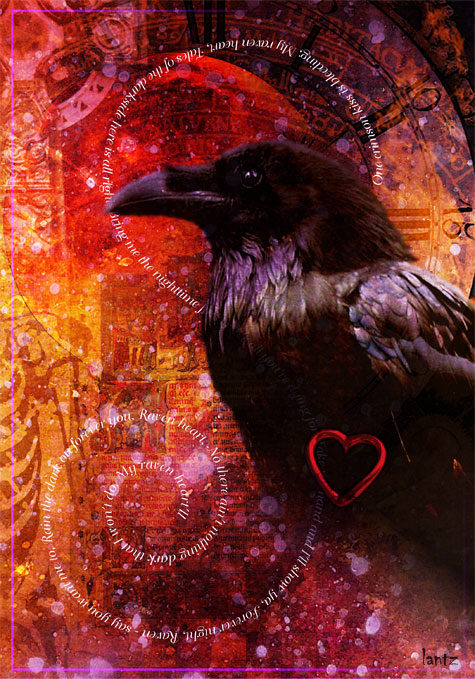 raven heart by archeon on DeviantArt