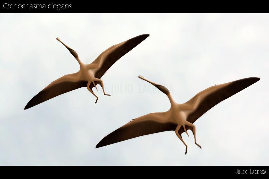 Returning Home By Julio Lacerda On Deviantart