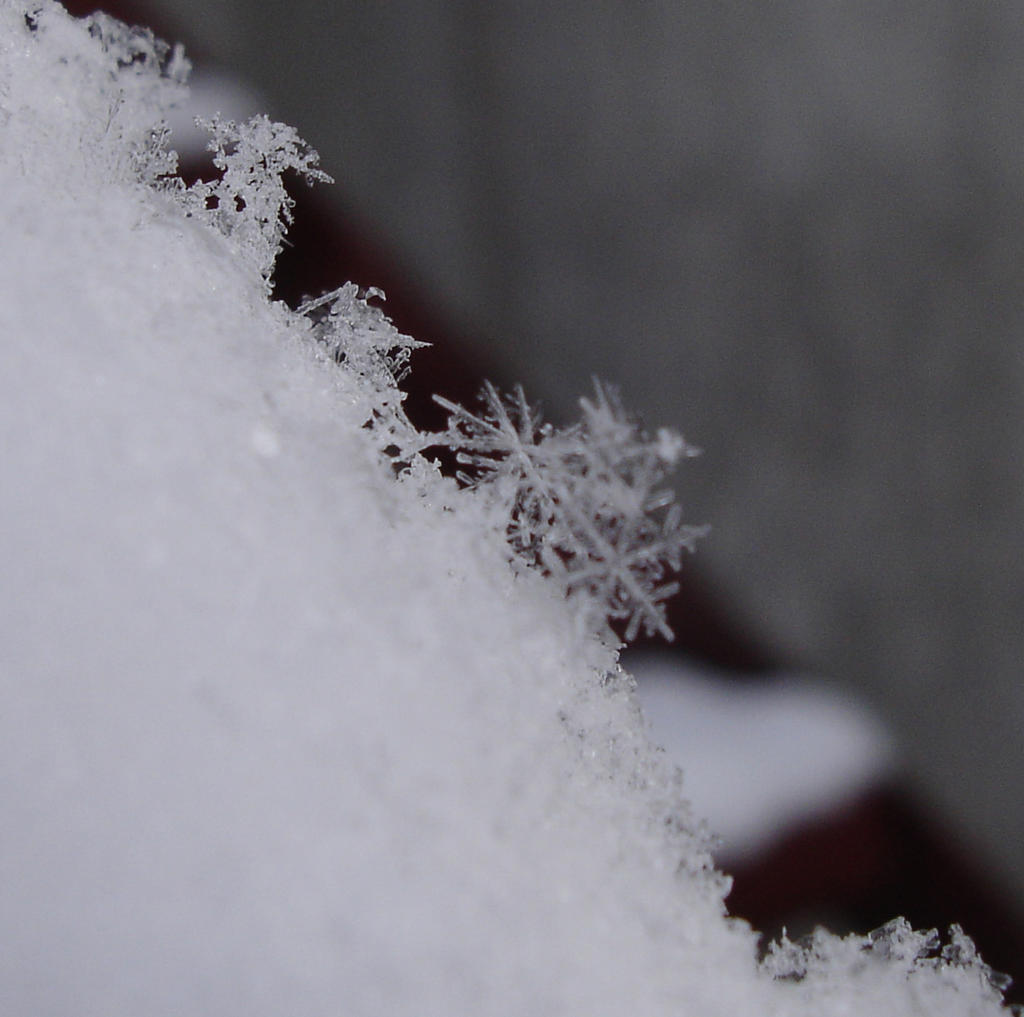Snowflake Cluster By Jadisofeternity On Deviantart